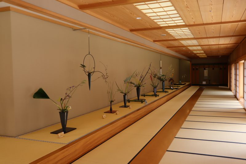 Ikenobo Spring Exhibition 2021 | IKENOBO ORIGIN OF IKEBANA