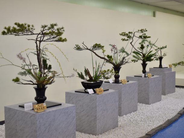 2024 Ikenobo Spring Exhibition | IKENOBO ORIGIN OF IKEBANA